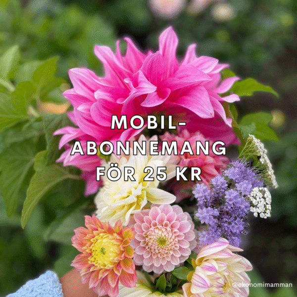 Mobilabonnemang för 25 kr – byt abonnemang och spara tusenlappar ...